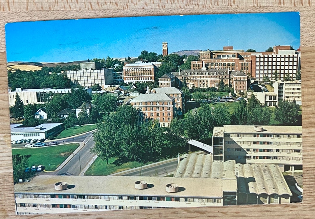 Washington State University Pullman WA Postcard, WSU Campus Souvenir ...