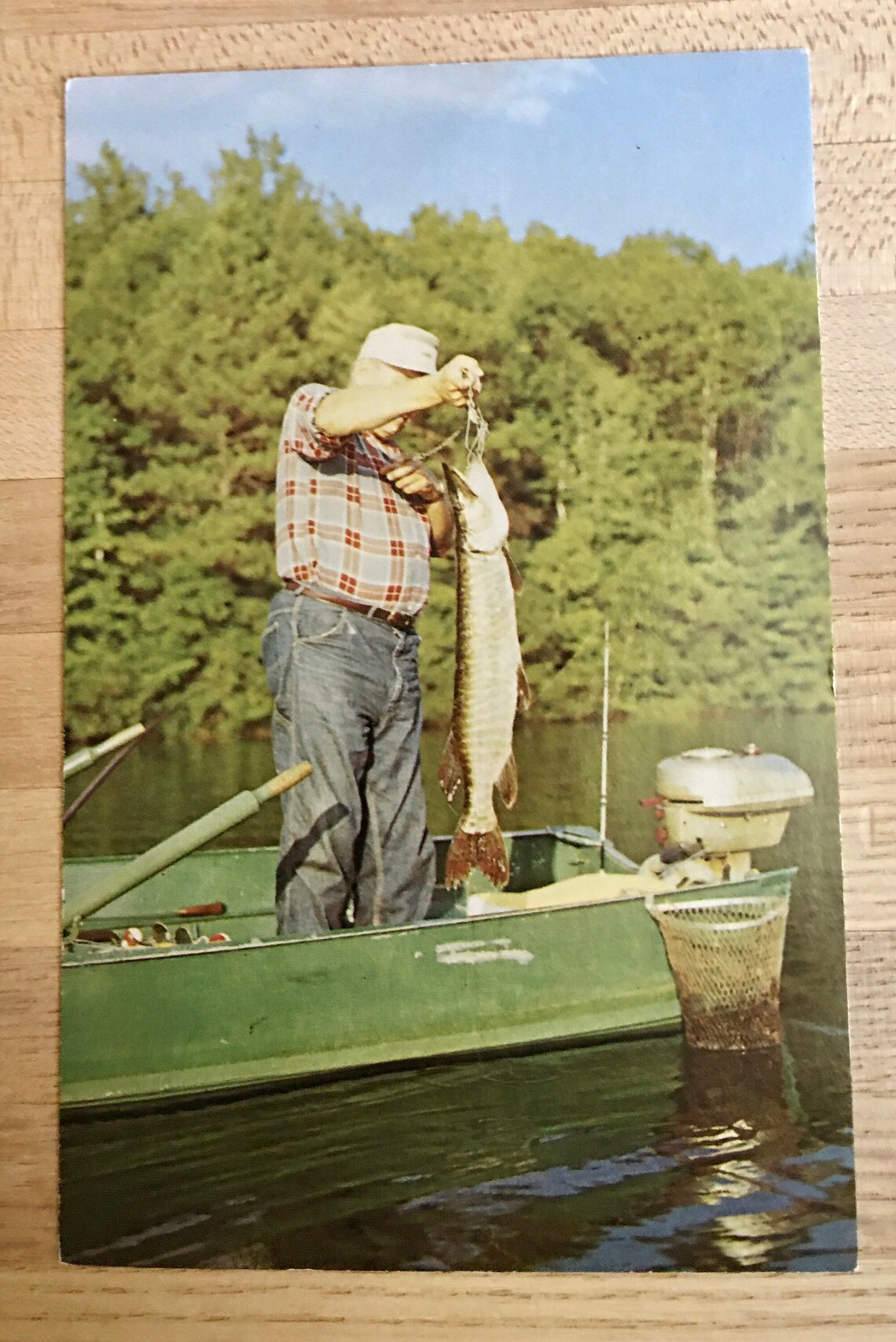Nice Catch Big Fish Vintage Postcard, Unposted Souvenir Ephemera, Junk ...