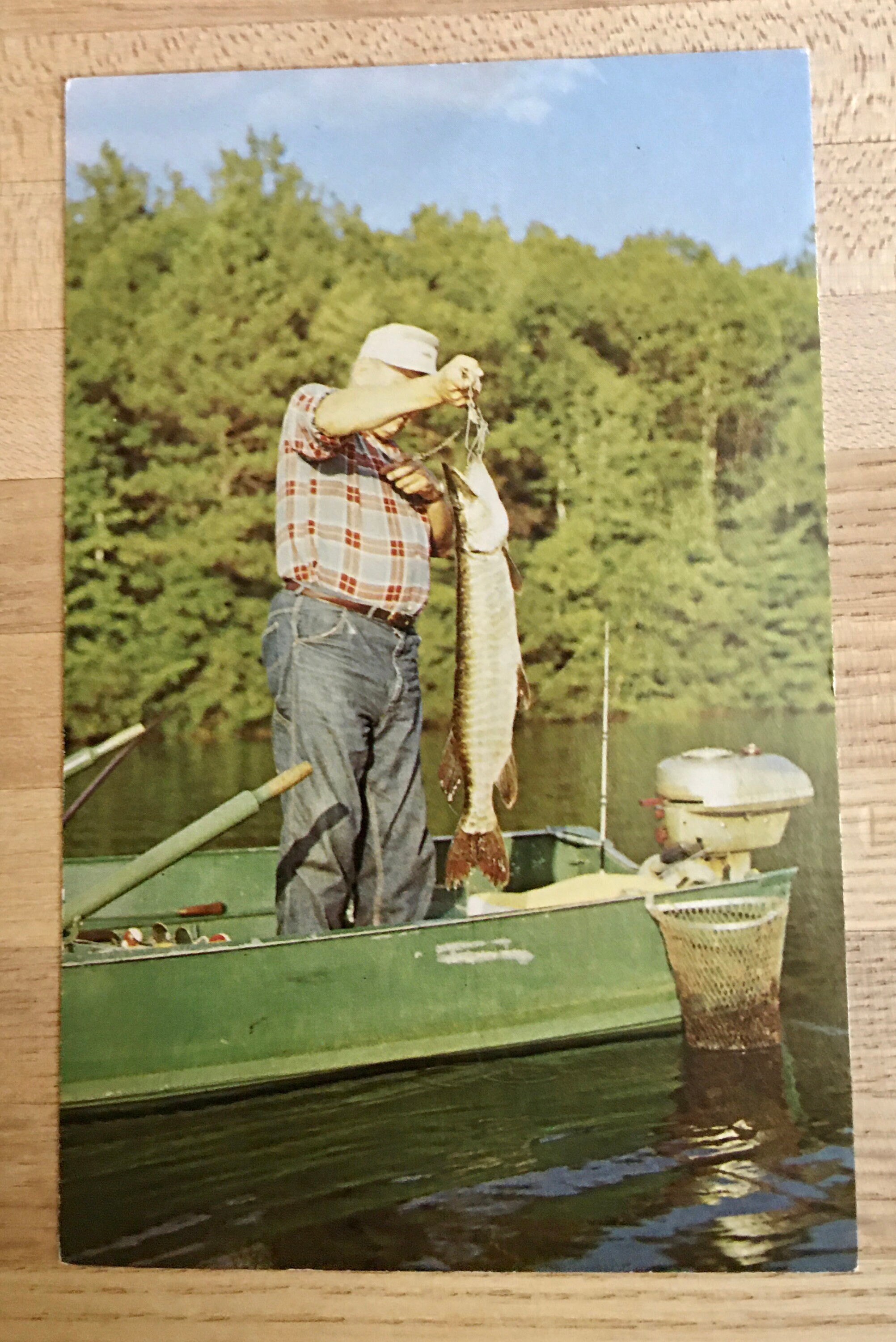 Nice Catch Big Fish Vintage Postcard, Unposted Souvenir Ephemera, Junk ...