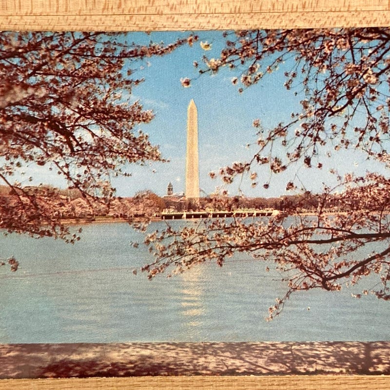 Washington Dc Stamps - Etsy