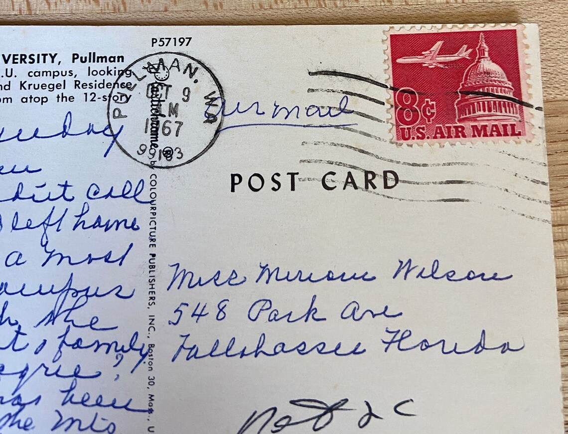 Washington State University Pullman WA Postcard, WSU Campus Souvenir ...