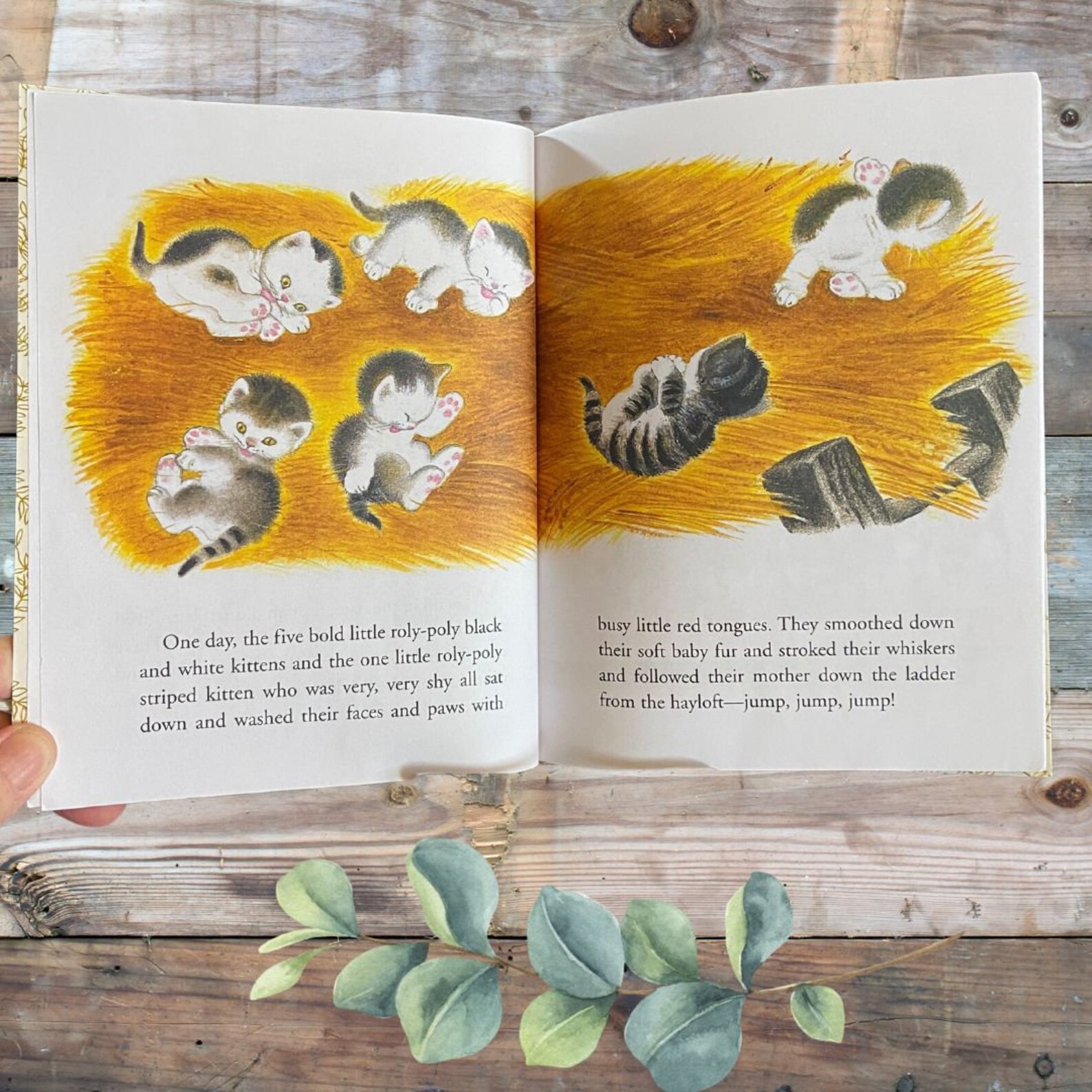 The Shy Little Kitten Little Golden Book 1974 Hardcover Collectible ...