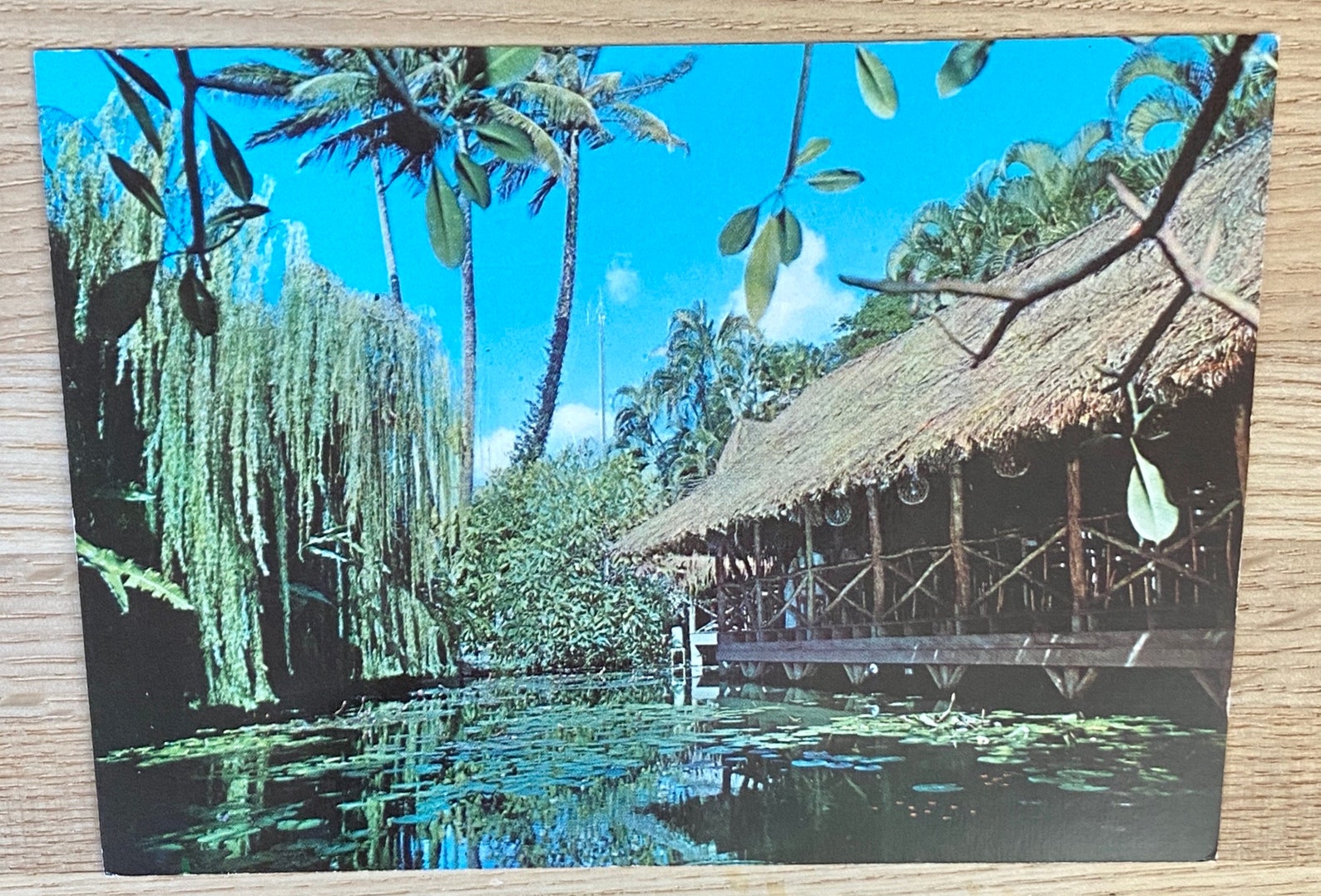 The Willows Honolulu Hawaii Vintage Postcard, Unposted Advertising ...