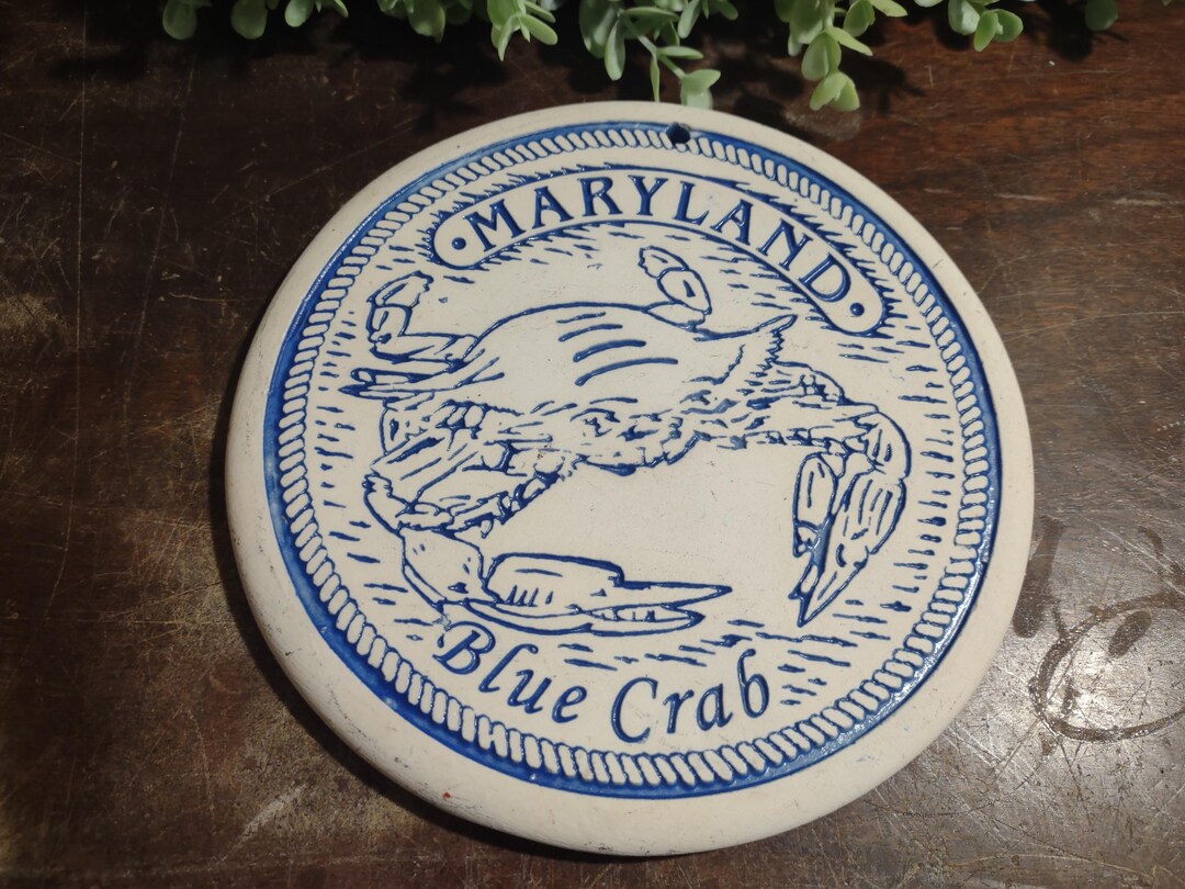 BEAUTIFUL Handmade Ceramic Trivet - Etsy