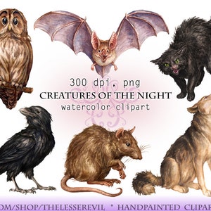 Creatures of the Night Clipart Digital Watercolor - Etsy