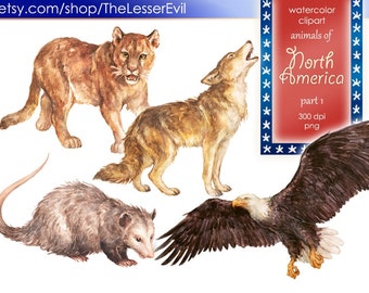 Animals of North America Clipart Digital Watercolor | Etsy