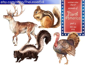 Animals of North America Clipart Digital Watercolor | Etsy