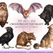 Creatures of the Night Clipart Digital Watercolor | Etsy