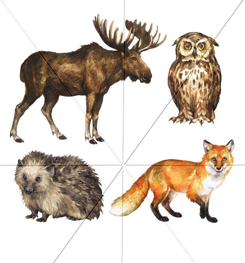 FULL PACK Woodland Animals Clipart, Digital Watercolor, Forest Animal ...