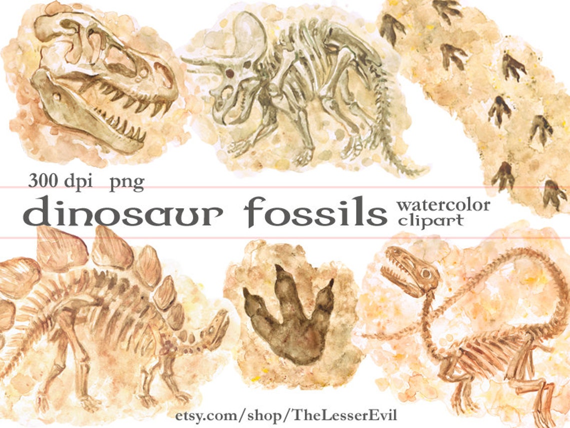 Dinosaur Fossils Clipart Digital Watercolor Illustration - Etsy Australia