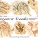 Dinosaur Fossils Clipart Digital Watercolor Illustration | Etsy