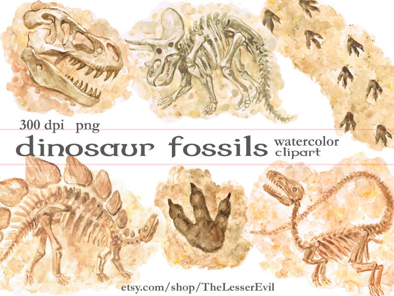 Dinosaur Fossils Clipart Digital Watercolor Illustration - Etsy Australia