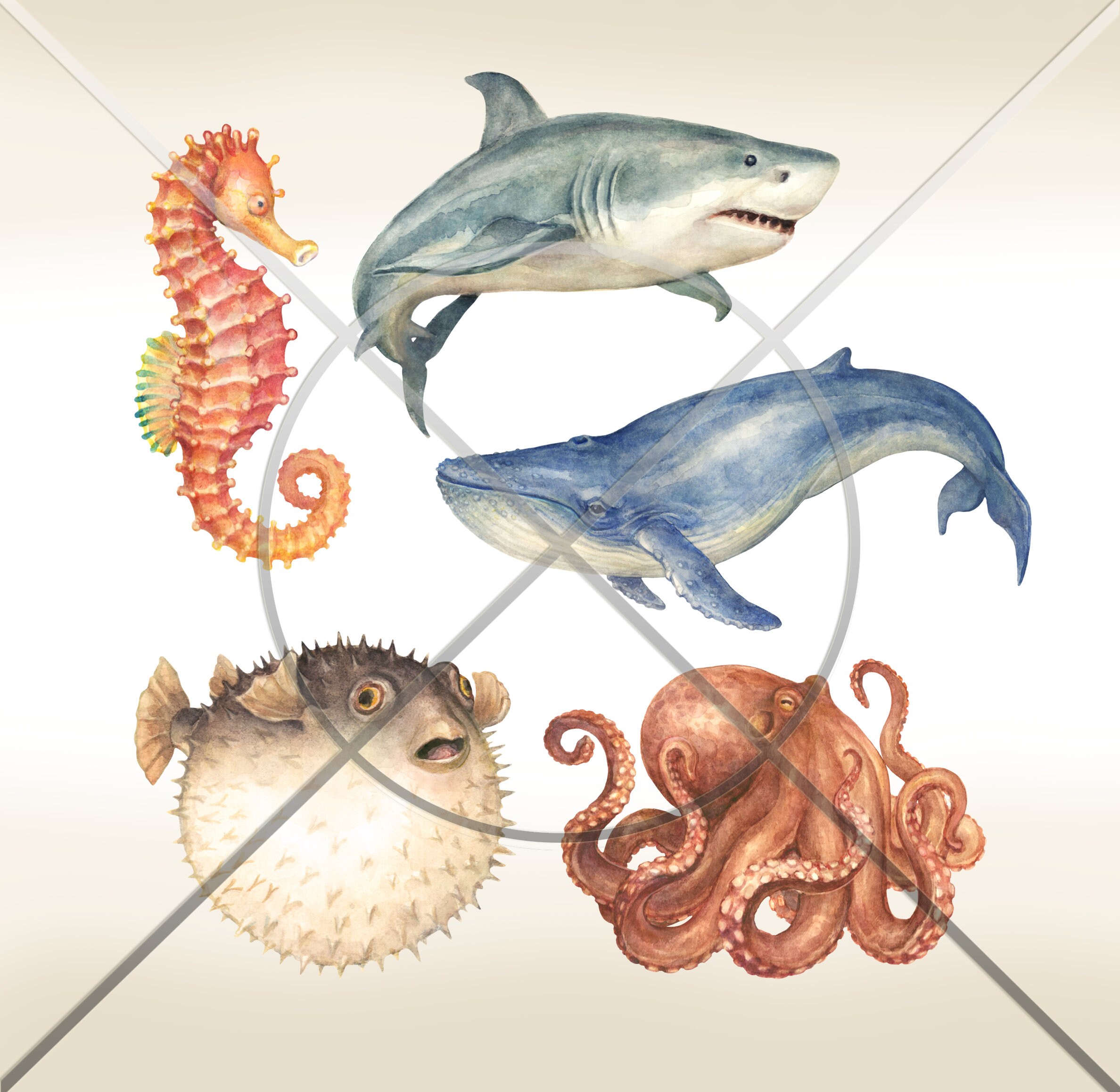 Ocean Creatures Clipart Digital Watercolor Illustration Sea - Etsy