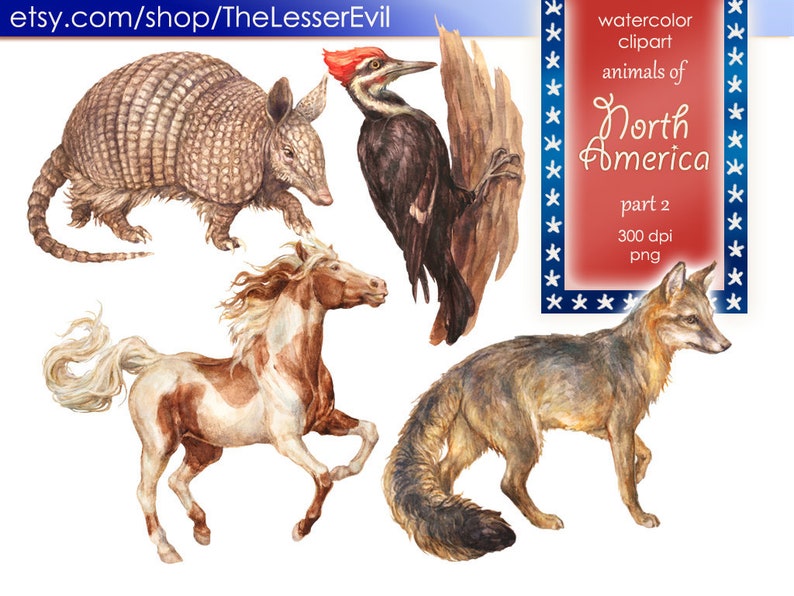 Animals of North America Clipart, Digital Watercolor Illustration ...