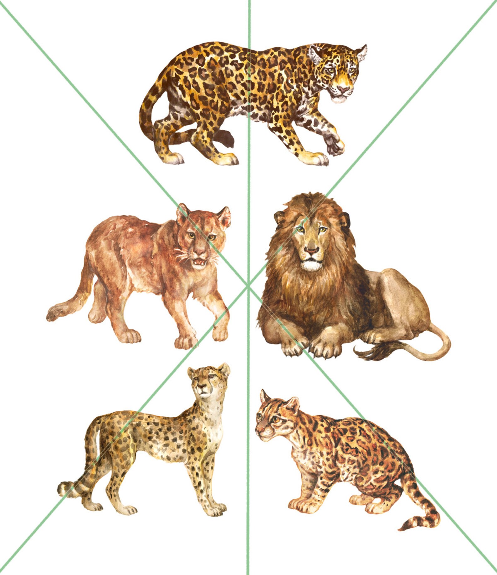 Wild Cats Clipart, Digital Watercolor Wild Animal Clip Art, Hand ...