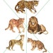 Wild Cats Clipart, Digital Watercolor Wild Animal Clip Art, Hand ...