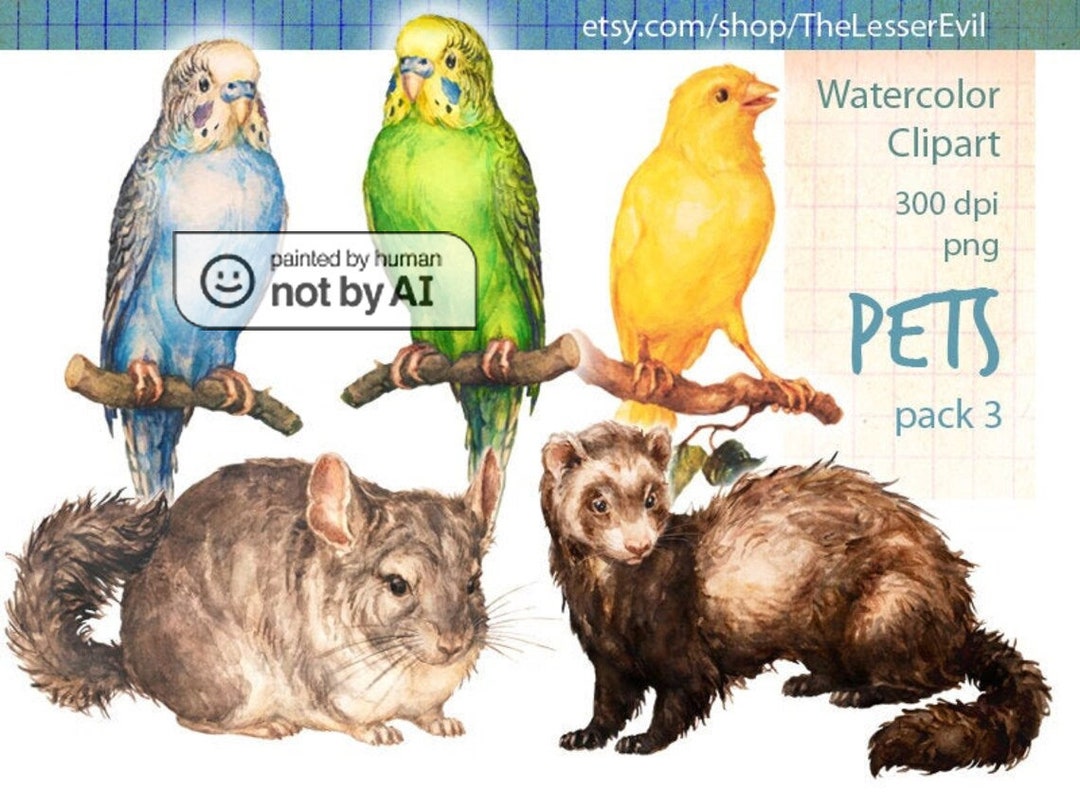 Pets Clipart, Digital Watercolor Illustration, Pet Animal Clip Art ...