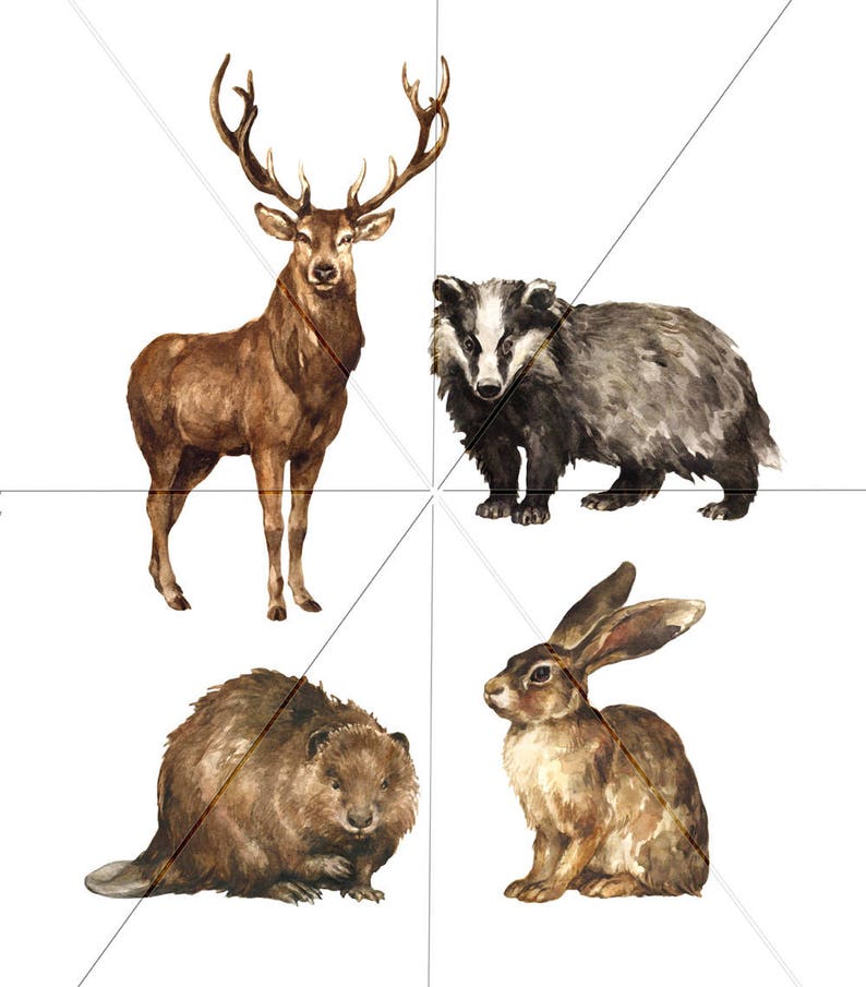 Woodland Animals Clipart, Digital Watercolor Illustration, Forest ...