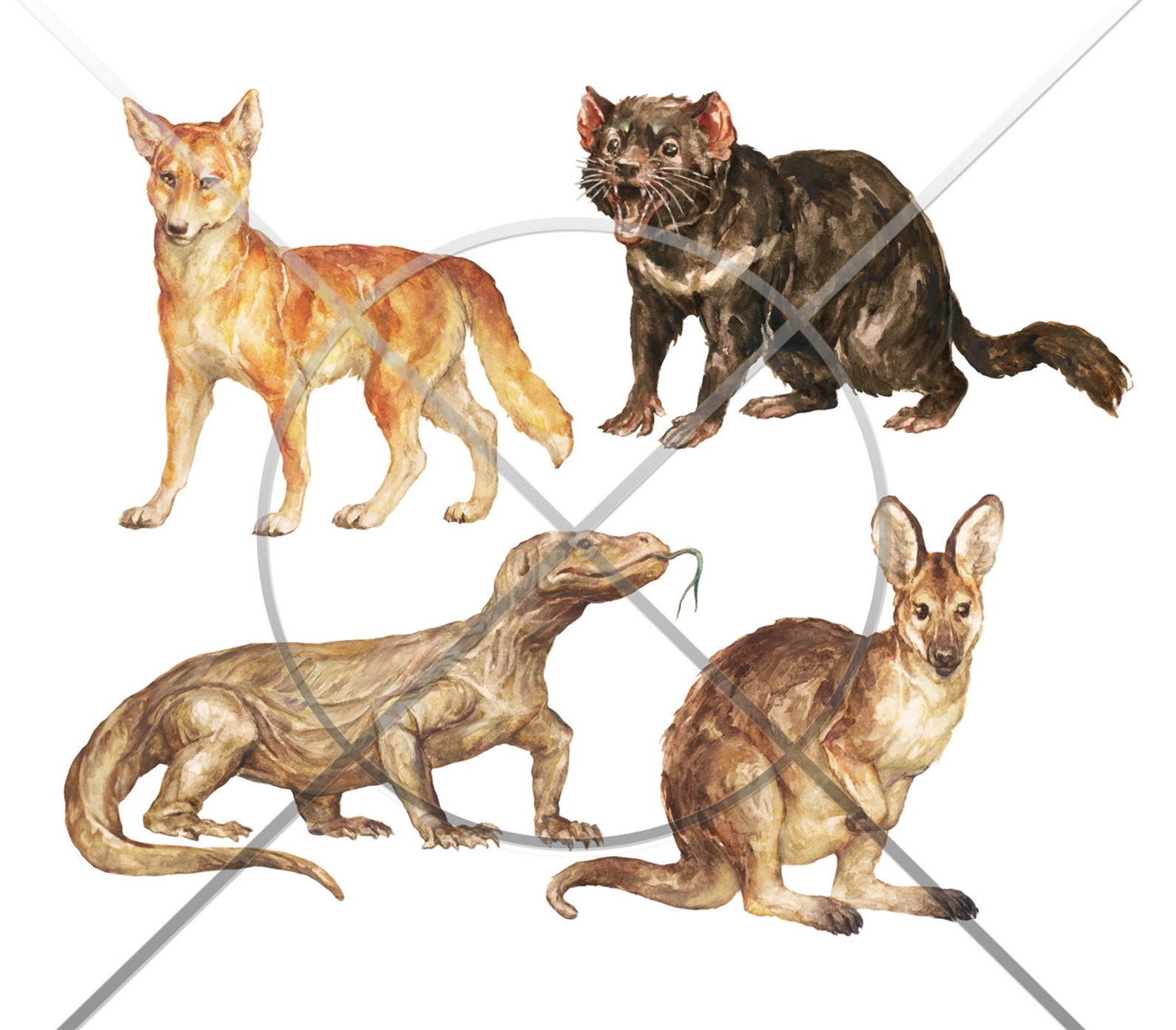 FULL PACK Animals of Australia Clipart, Digital Watercolor Australian ...