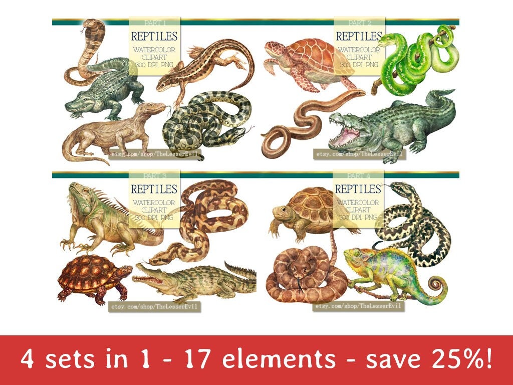 FULL PACK Reptiles Clipart Digital Watercolor Illustration | Etsy