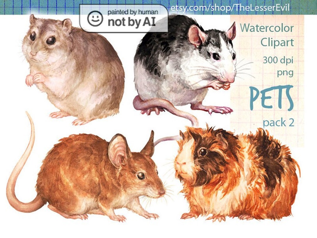 Pets Clipart, Digital Watercolor Illustration, Pet Animal Clip Art ...