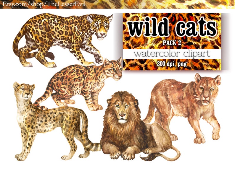 Wild Cats Clipart, Digital Watercolor Wild Animal Clip Art, Hand ...
