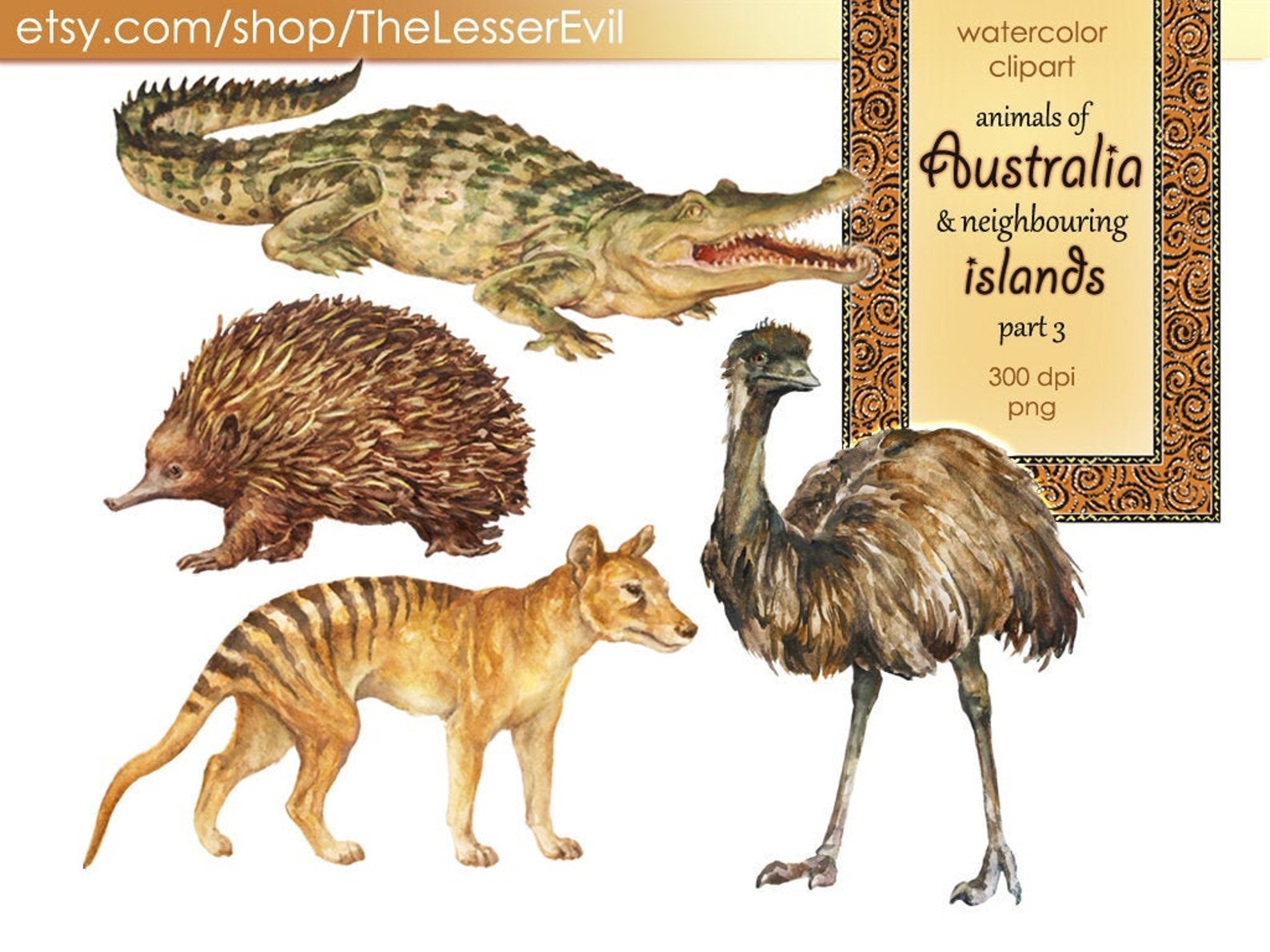 Animals of Australia Clipart, Digital Watercolor Australian Animals ...