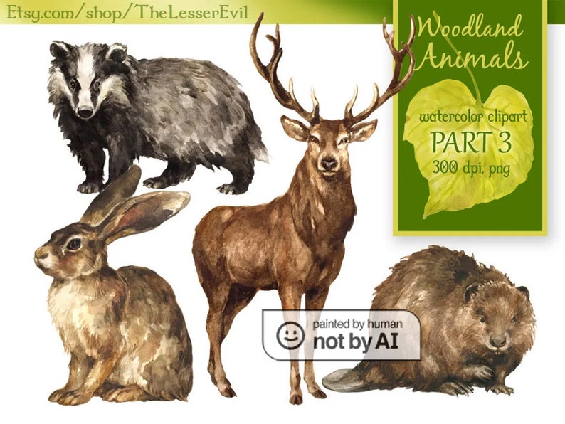 Woodland Animals Clipart, Digital Watercolor Illustration, Forest ...