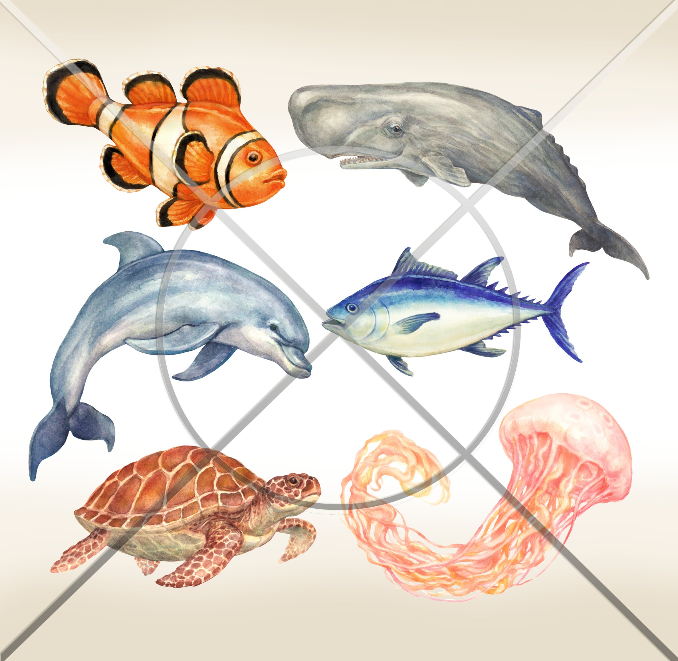 FULL PACK Ocean Creatures Clipart Digital Watercolor - Etsy