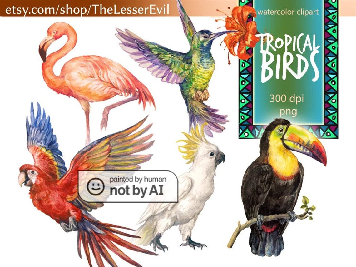 Tropical Birds Clipart, Digital Watercolor Jungle Bird Clip Art, Hand ...