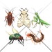 FULL PACK Insects Clipart Digital Watercolor Illustration - Etsy