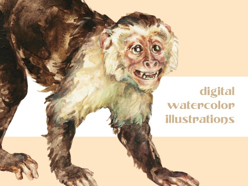 Monkeys and Apes Clipart, Digital Watercolor Monkey Clip Art, Hand ...