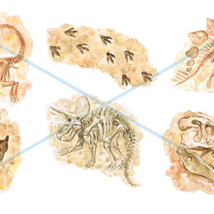 Dinosaur Fossils Clipart Digital Watercolor Illustration - Etsy Australia