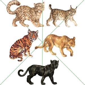 Wild Cats Clipart, Digital Watercolor Wild Animal Clip Art, Hand ...