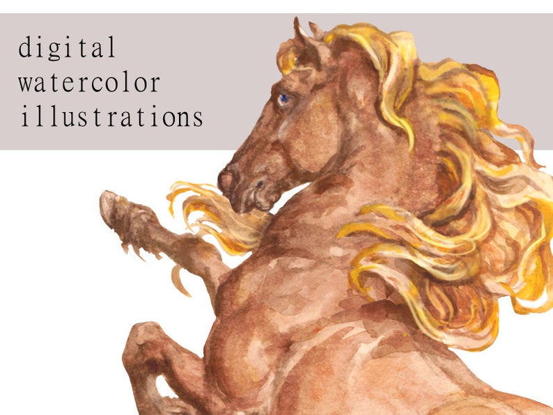 FULL PACK Horse Clipart, Digital Watercolor Illustration, Animal Clip ...