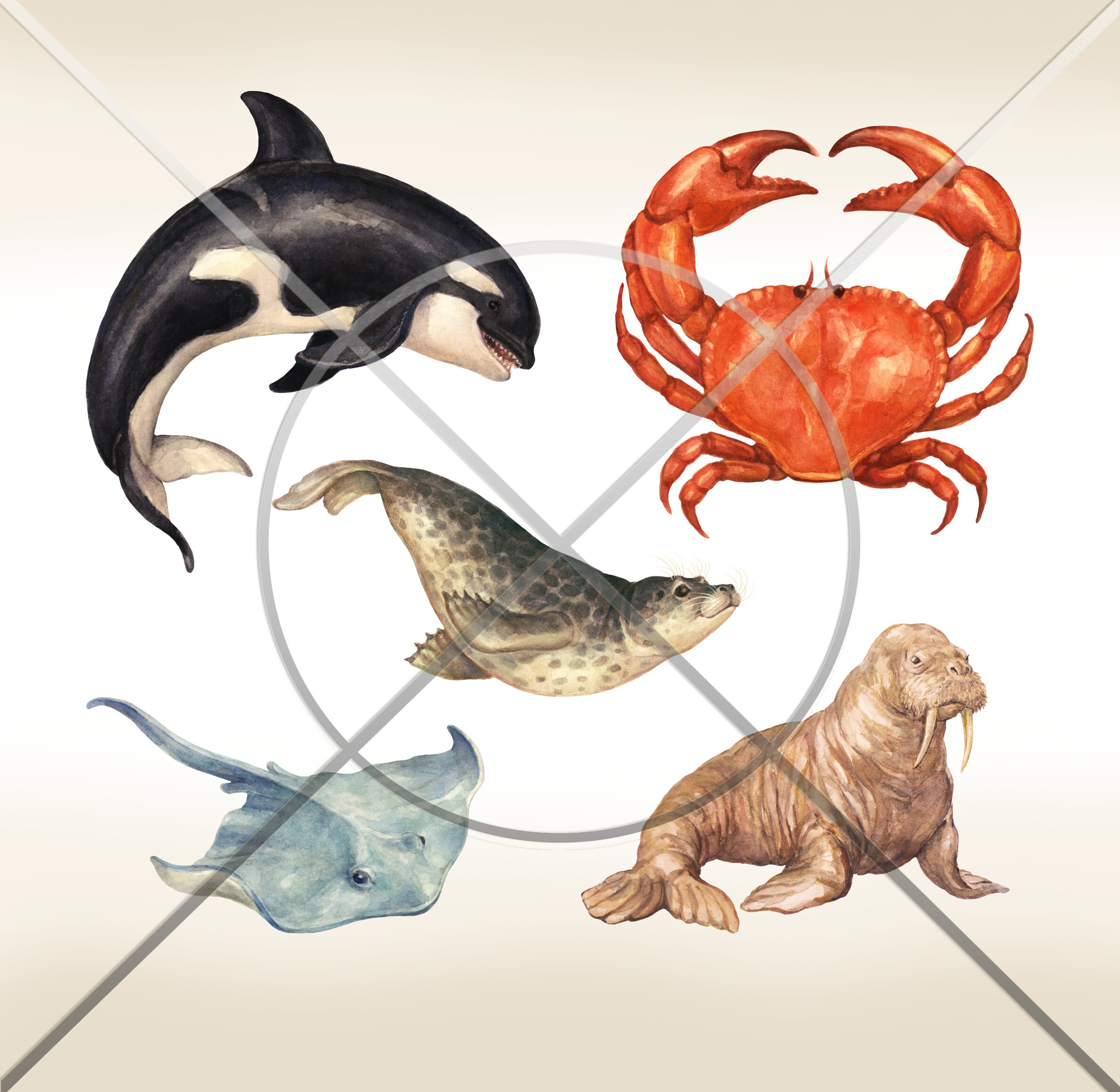 FULL PACK Ocean Creatures Clipart Digital Watercolor - Etsy
