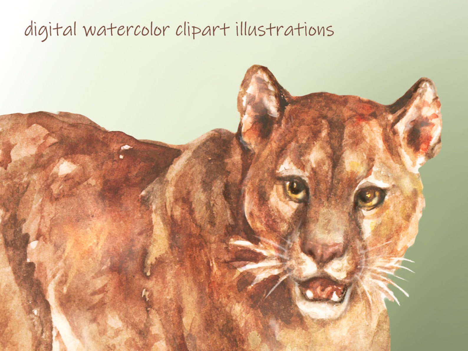 Wild Cats Clipart, Digital Watercolor Wild Animal Clip Art, Hand ...