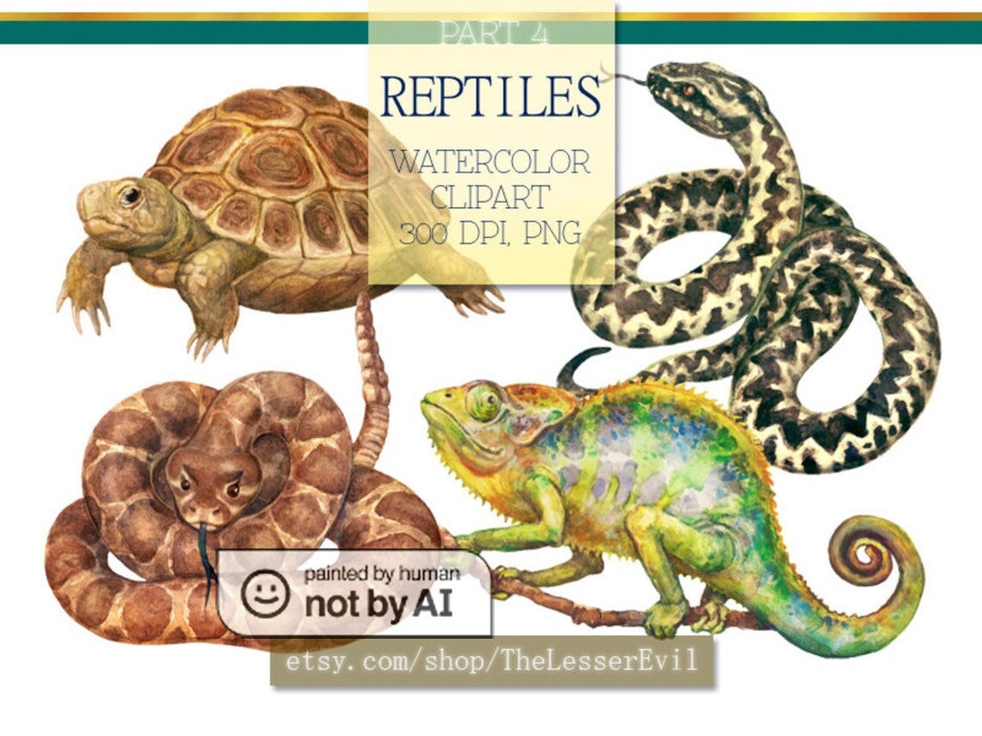 Reptiles Clipart, Digital Watercolor Illustration, Reptile Clip Art ...