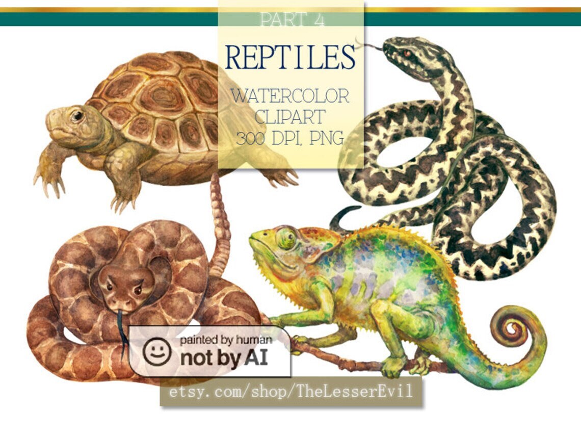 Reptiles Clipart Digital Watercolor Illustration Reptile - Etsy