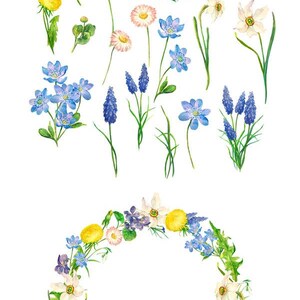 Spring Flowers Clipart, Digital Watercolor Illustration, Floral Clip ...