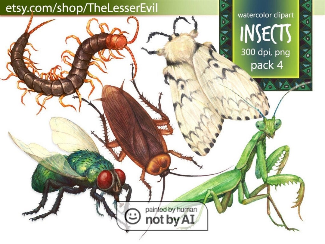 Insects Clipart, Digital Watercolor Illustration, Bug, Insect Clip Art ...