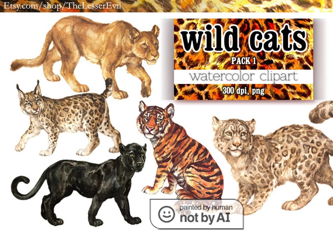 Wild Cats Clipart, Digital Watercolor Wild Animal Clip Art, Hand ...