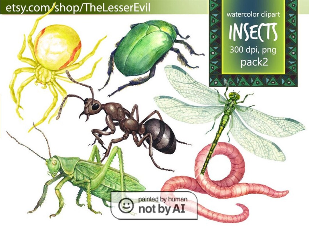 Insects Clipart, Digital Watercolor Illustration, Bug, Insect Clip Art ...