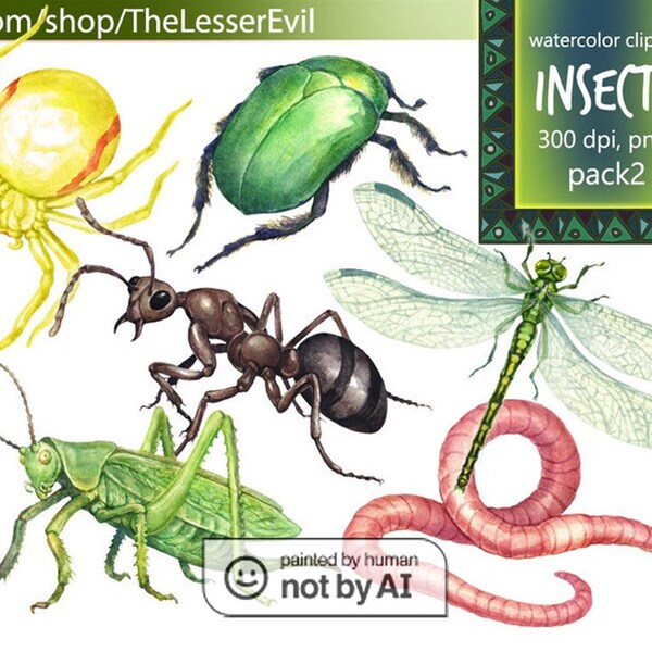Insect Clipart - Etsy