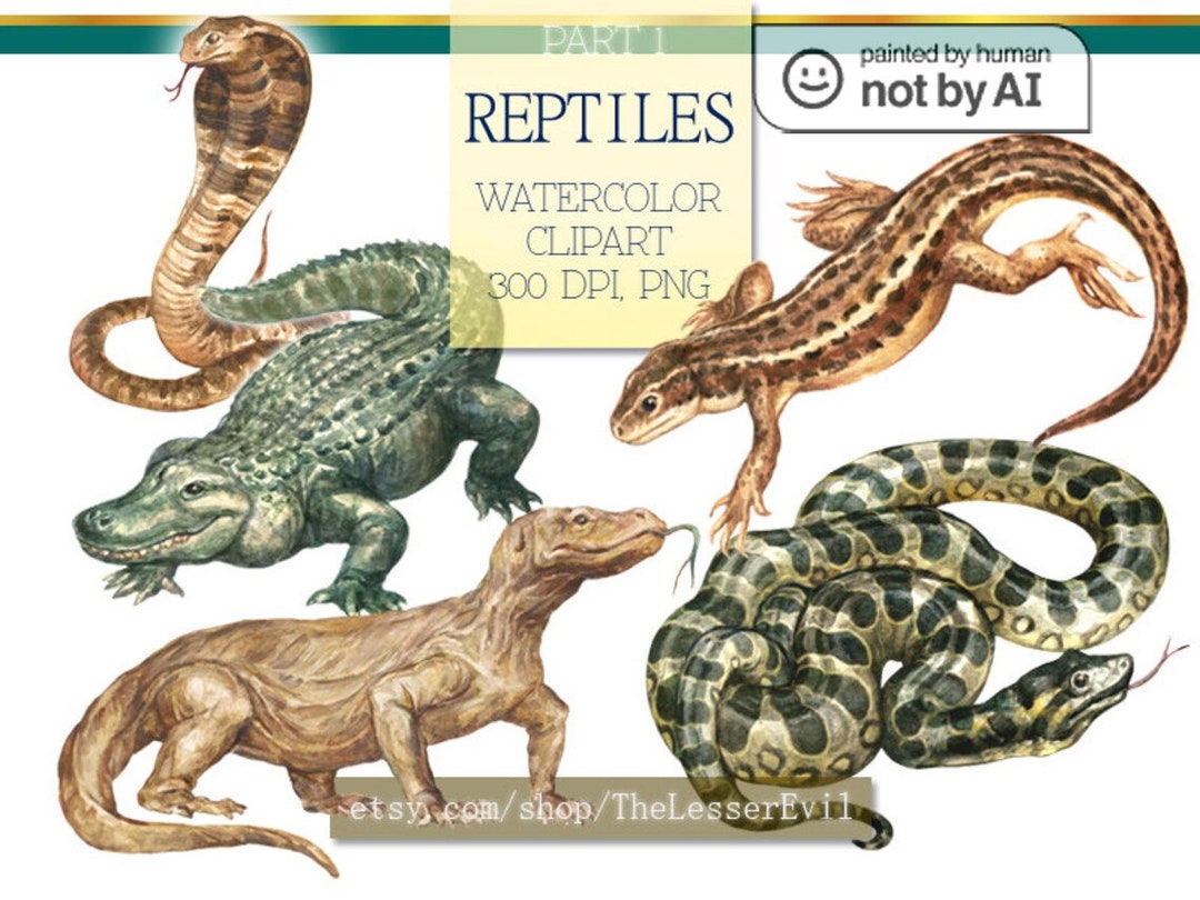 Reptiles Clipart Digital Watercolor Illustration Reptile - Etsy