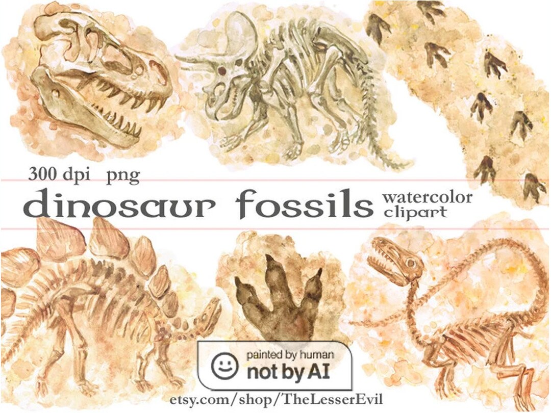 Dinosaur Fossils Clipart, Digital Watercolor Illustration, Dinosaur ...