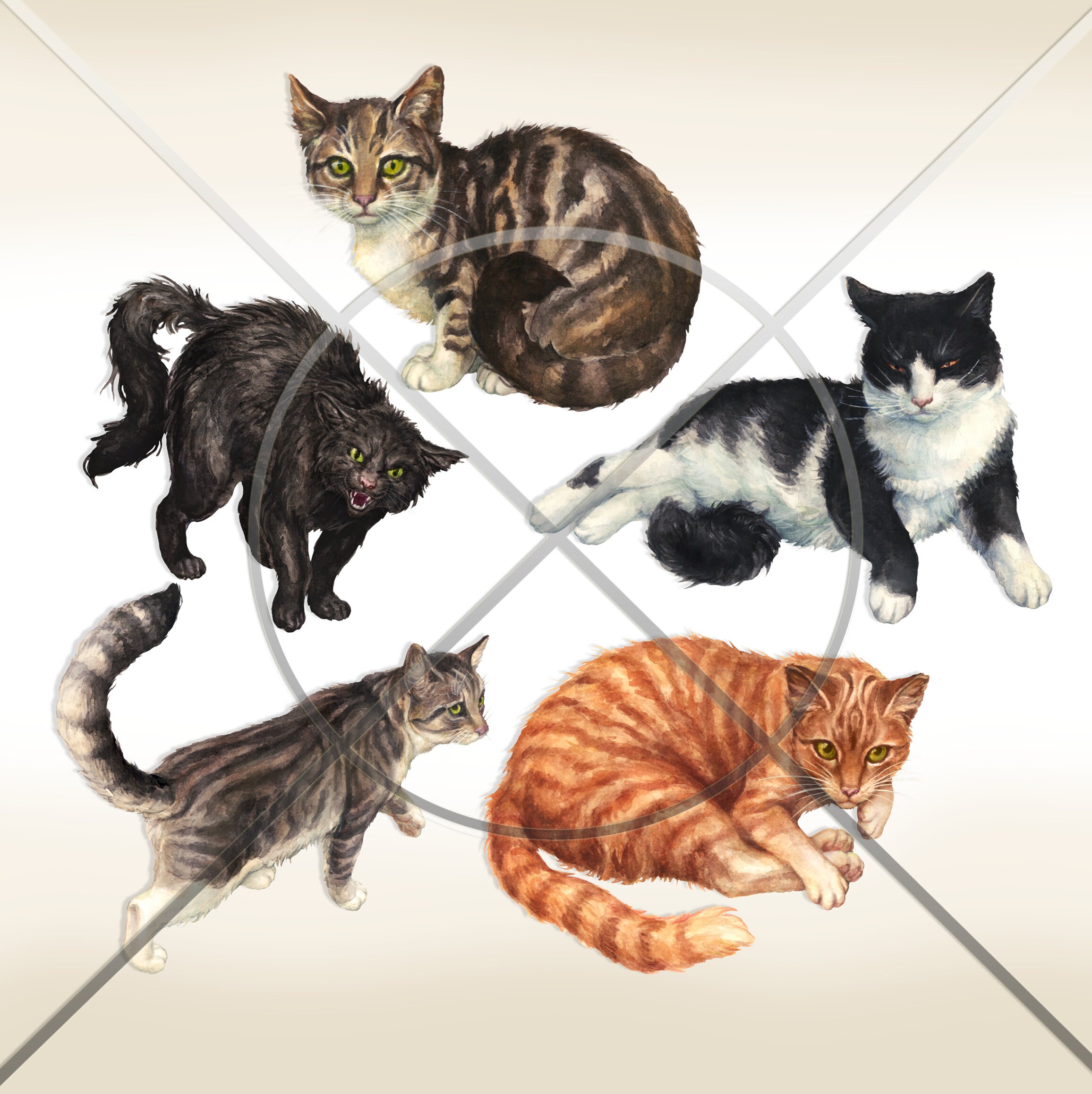 Cats Clipart, Digital Watercolor Domestic Cat Clip Art, Animal, Tabby ...
