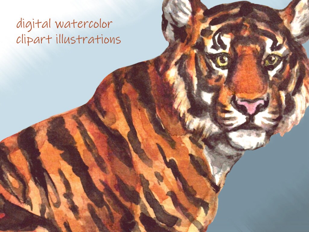 Wild Cats Clipart Digital Watercolor Wild Animal Clip Art - Etsy
