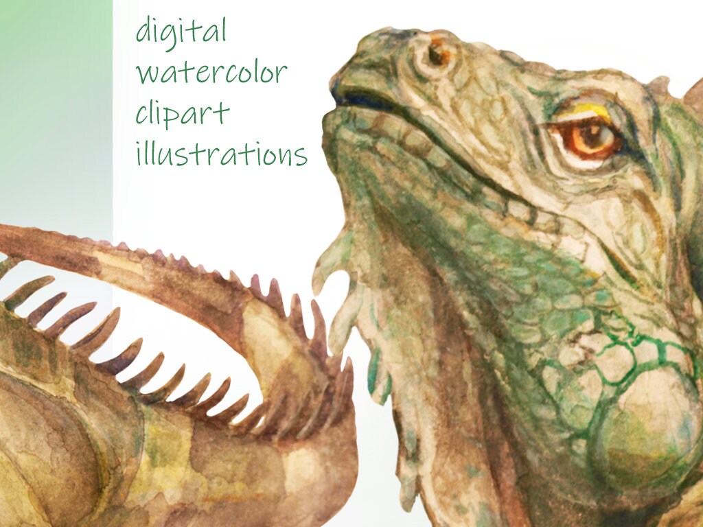 Reptiles Clipart, Digital Watercolor Illustration, Reptile Clip Art ...