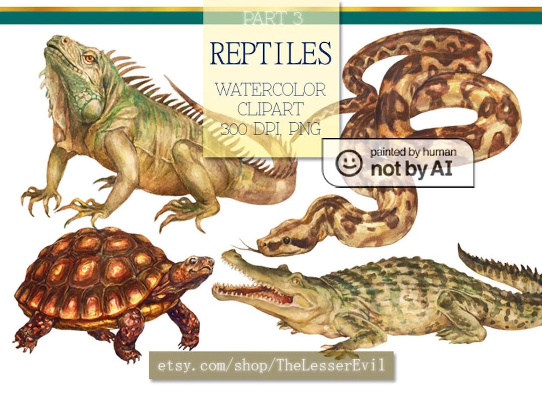 Reptiles Clipart, Digital Watercolor Illustration, Reptile Clip Art ...